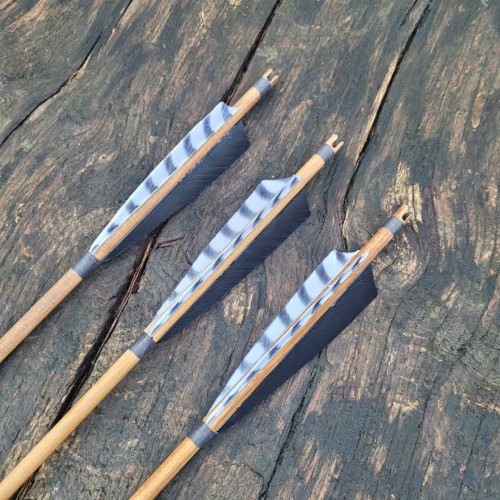 Zestaw 12 strzał w jednym spinie 53 cedr 78,5 cm z grotem 11/32" - ARBOW